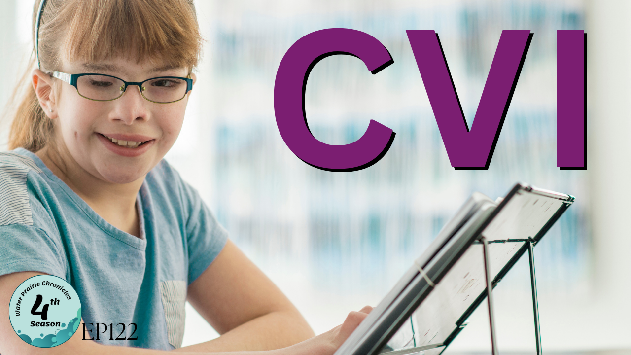 Seeing with the Brain: Understanding Cortical Visual Impairment (CVI ...